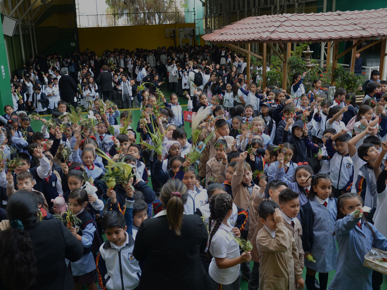 Colegio Santa Teresita – Sitio Web Oficial